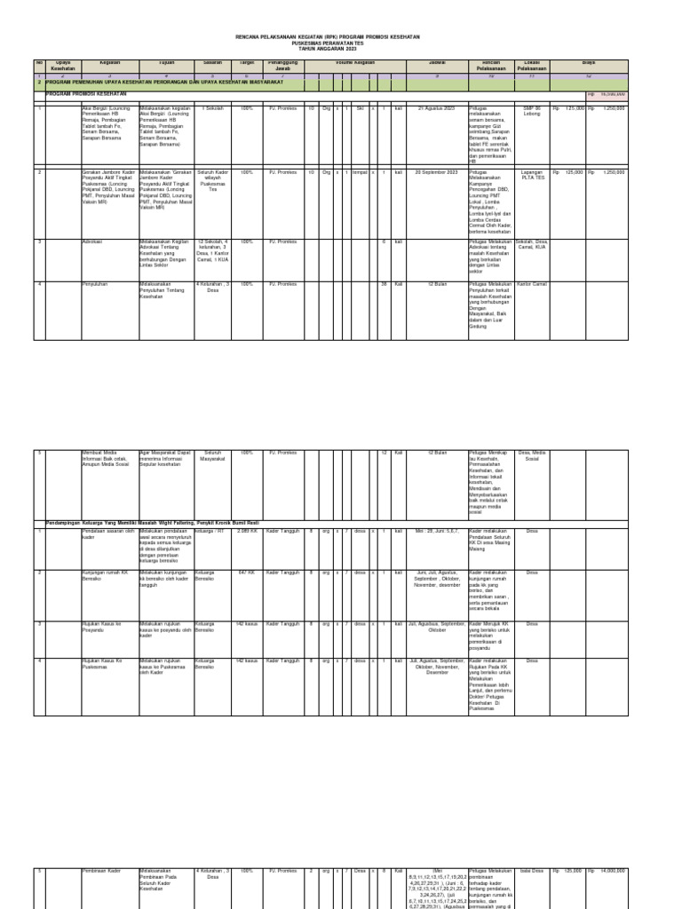 RPK Bulanan Program Promkes 2023 | PDF