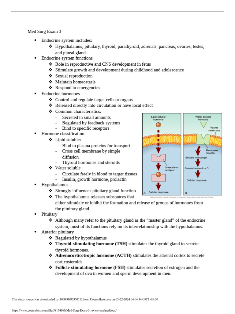 Med Surg Exam 3 Review Updated | PDF | Endocrine System | Adrenal Gland