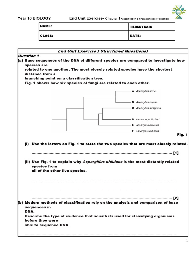 Year 10 Biology: Classification Exercise | PDF | Species | Taxonomy ...