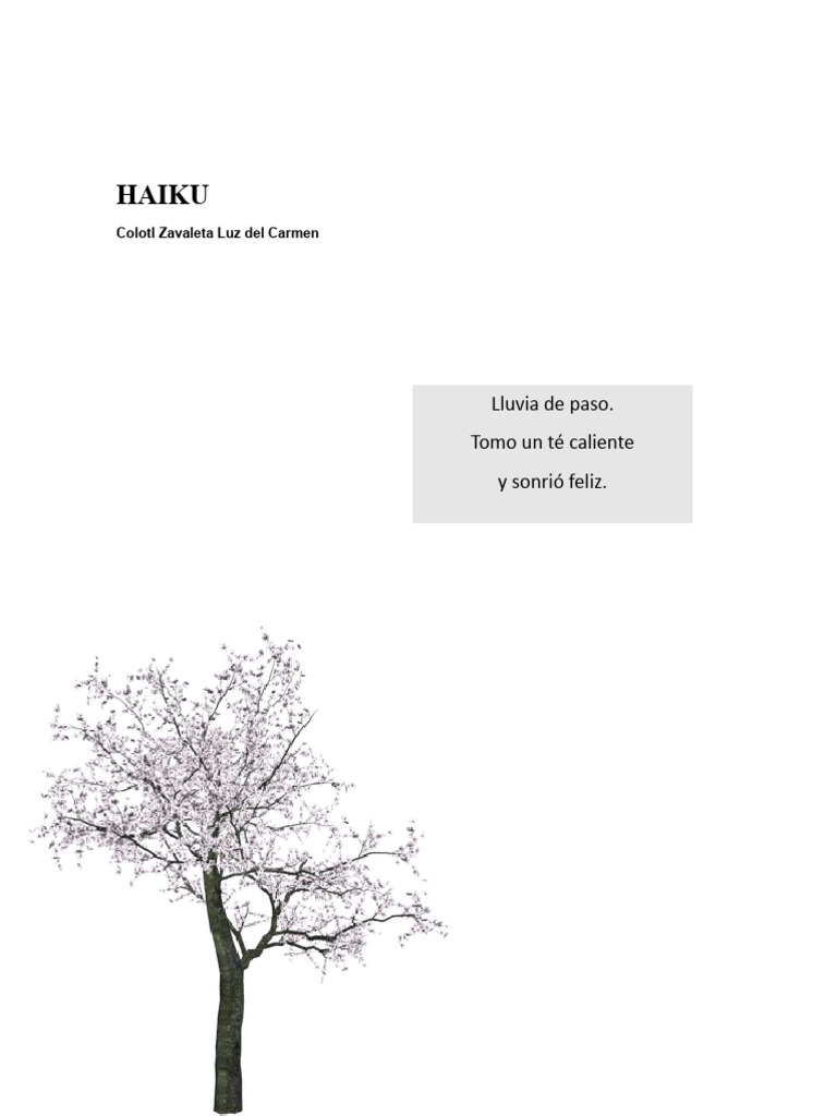 Haiku 1 | PDF