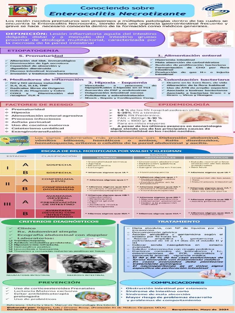 Infografía Enterocolitis Necrotizante 5to Año UCLA 2024 | PDF
