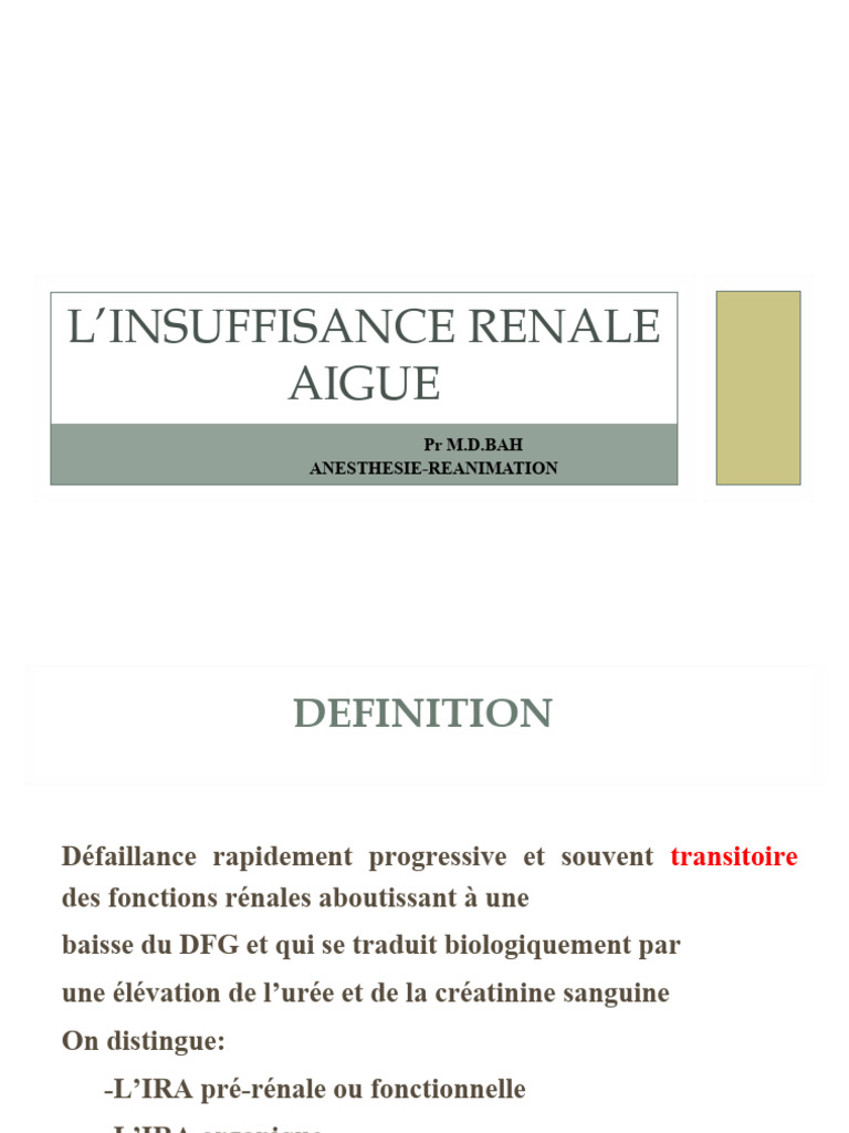 Insuffisance Rénale Aiguë : Diagnostic et Traitement | PDF | Abdomen ...