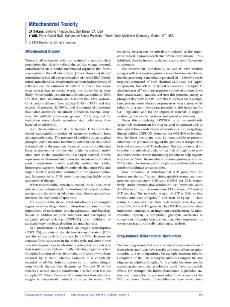 Mitochondrial Toxicity and Drug Impact | PDF | Mitochondrion ...