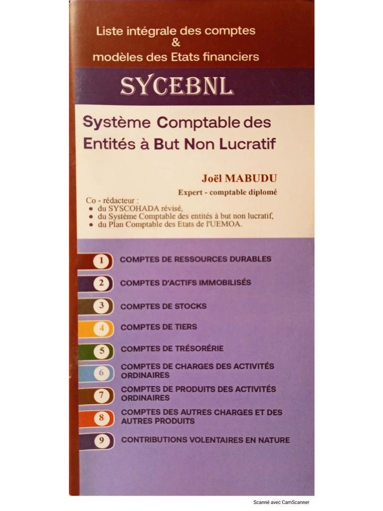 SYCEBNL | PDF
