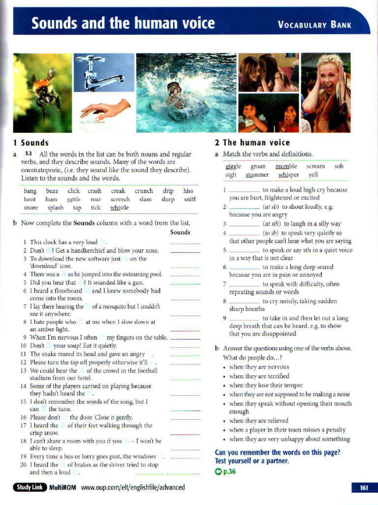 NEF Advanced 3A Vocan Bank SOUNDS | PDF