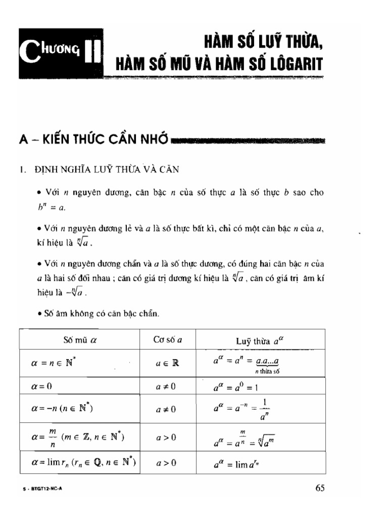 PT Mũ Loga G I 10A1 Sinh | PDF