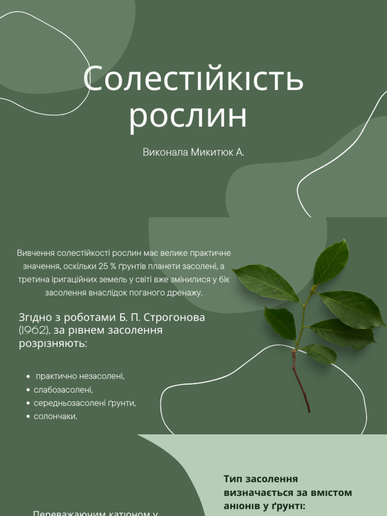 Green Blobs Basic Simple Presentation | PDF