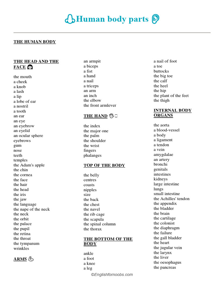 Human Body Parts | Download Free PDF | Thorax | Hand