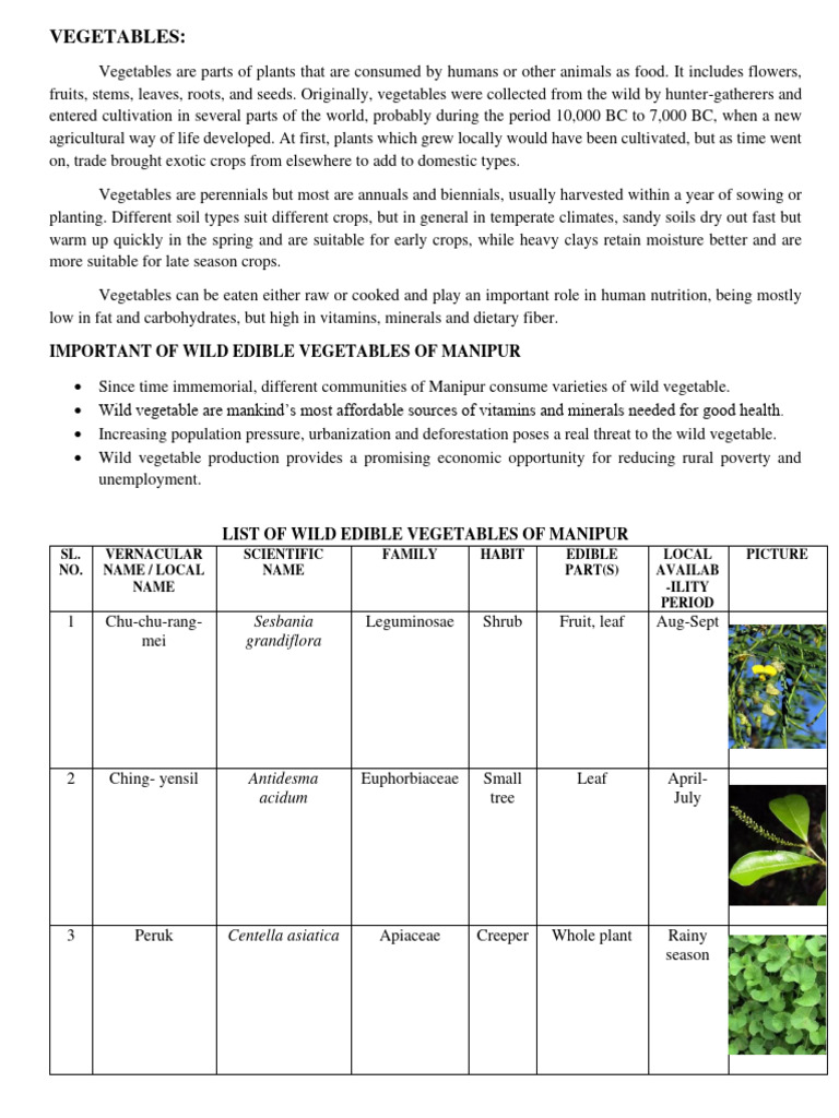 Vegetables...... Nature | PDF | Vegetables | Botany