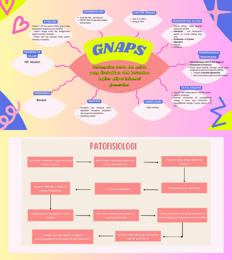 Mind Map Gnaps | PDF