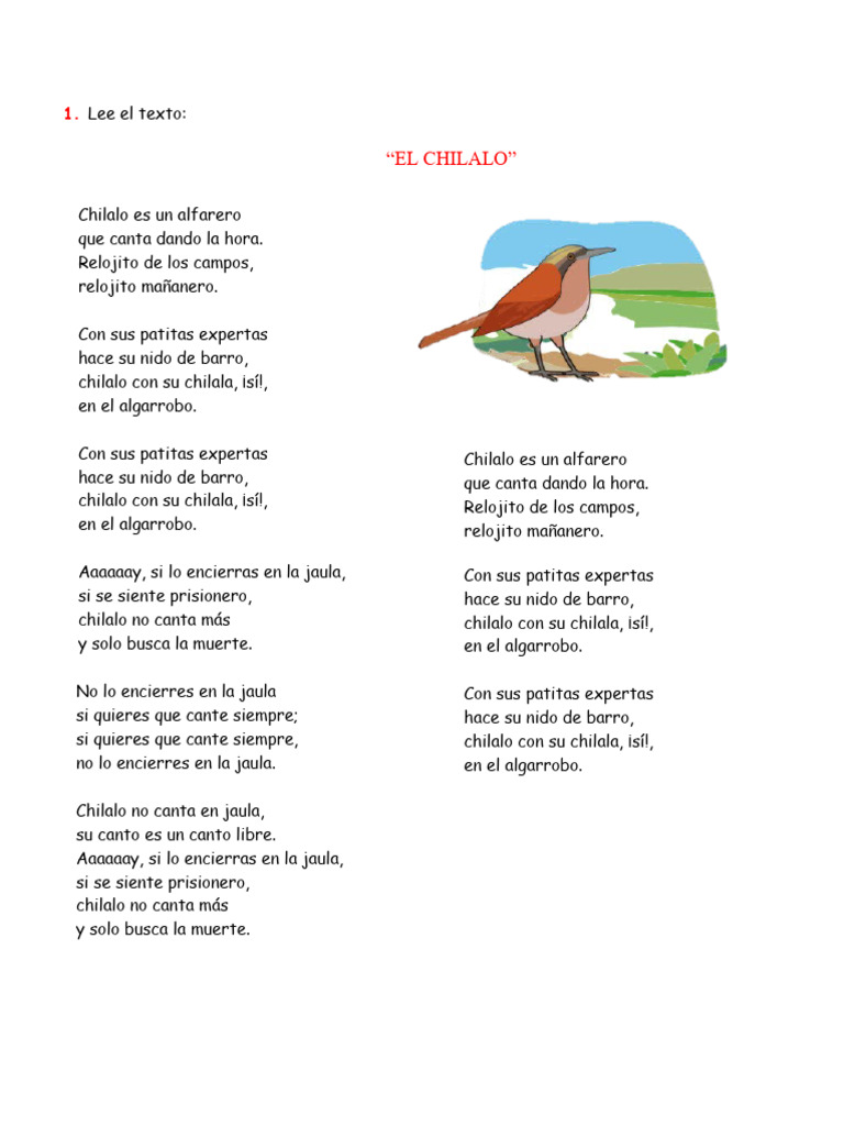 Chilalo Lectura | PDF