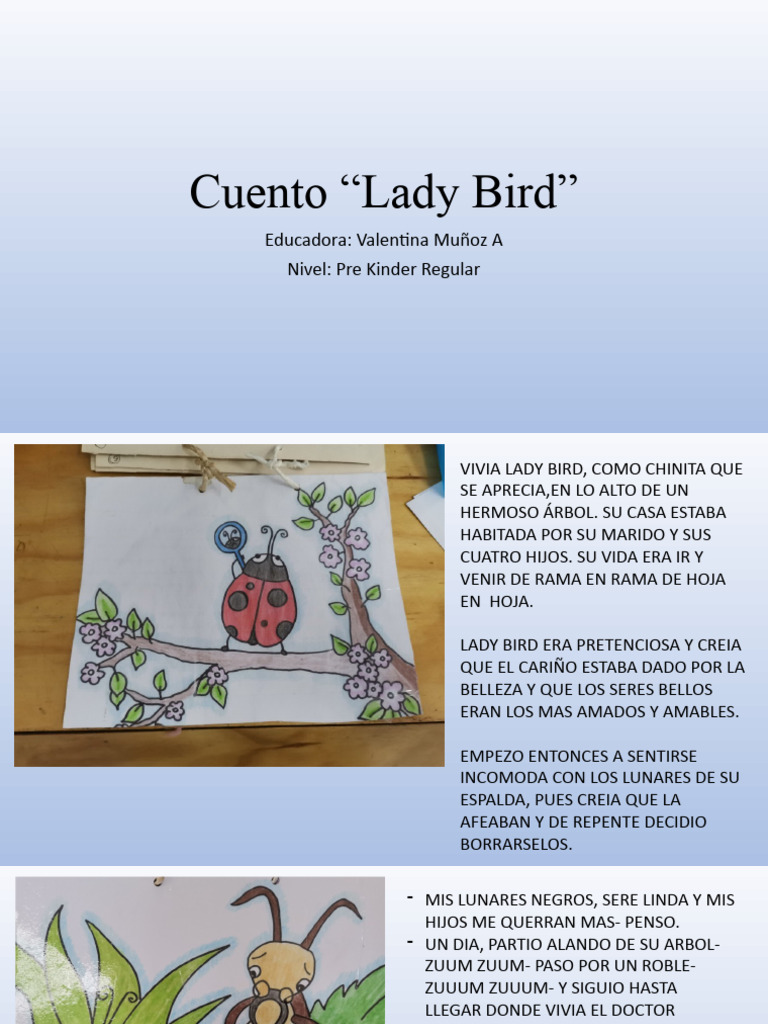 03 de Marzo Lady Bird | PDF