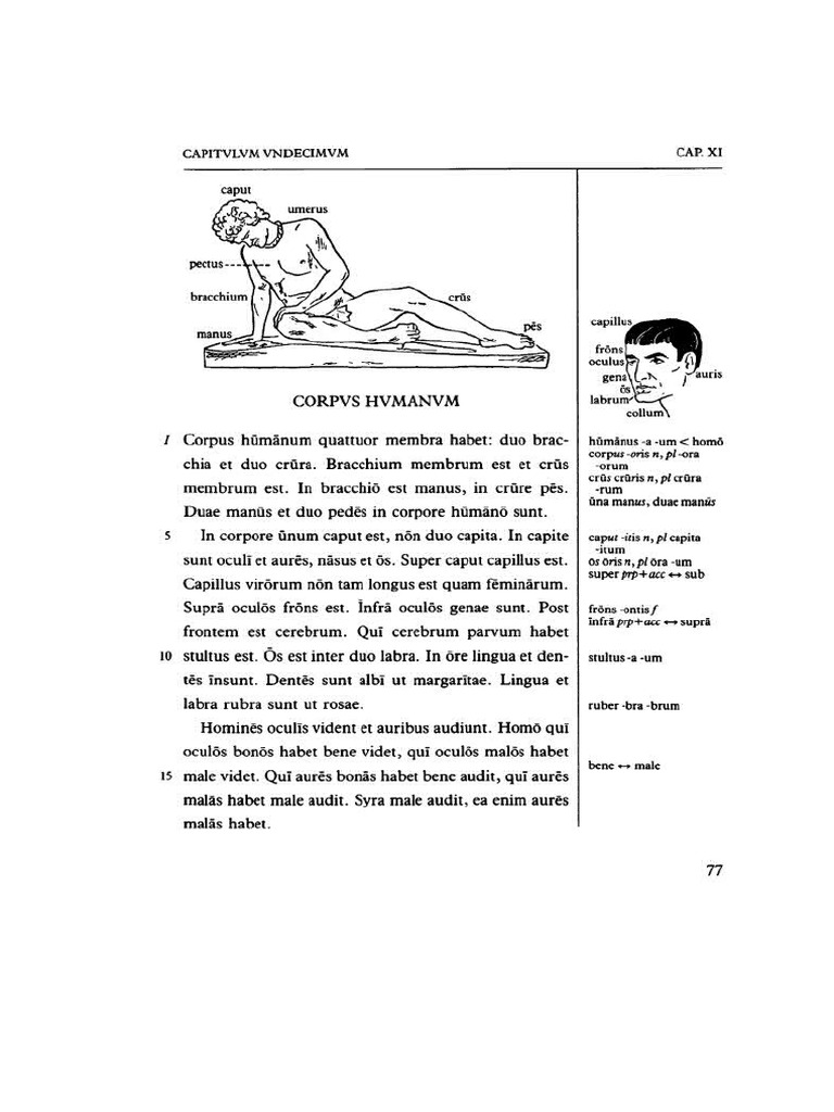 Corpus Humanum | PDF