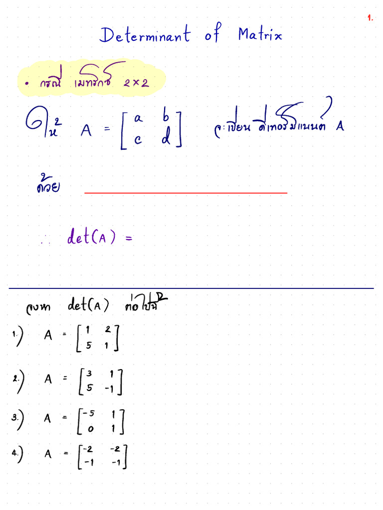 Determinant of Matrix | PDF