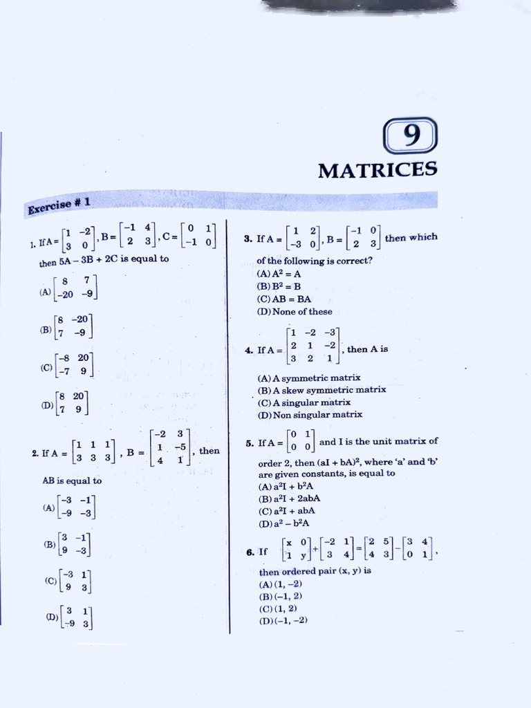 Matrix Worksheet | PDF
