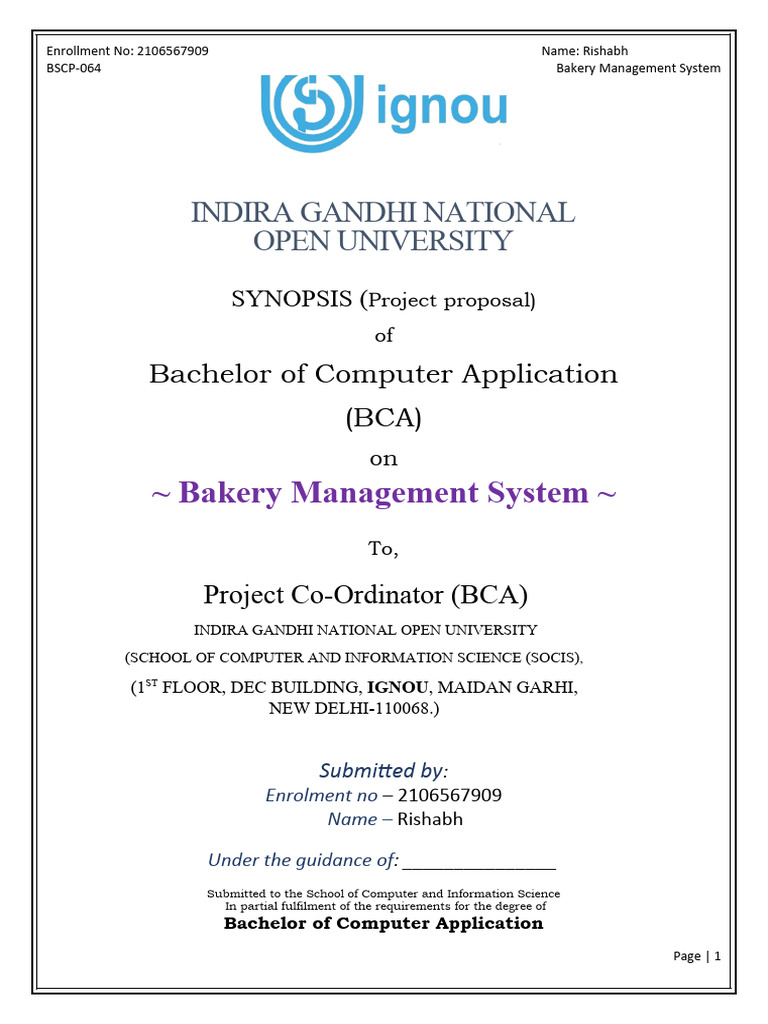 BCA Project Proposal | Download Free PDF | Enterprise Resource Planning | Business Process