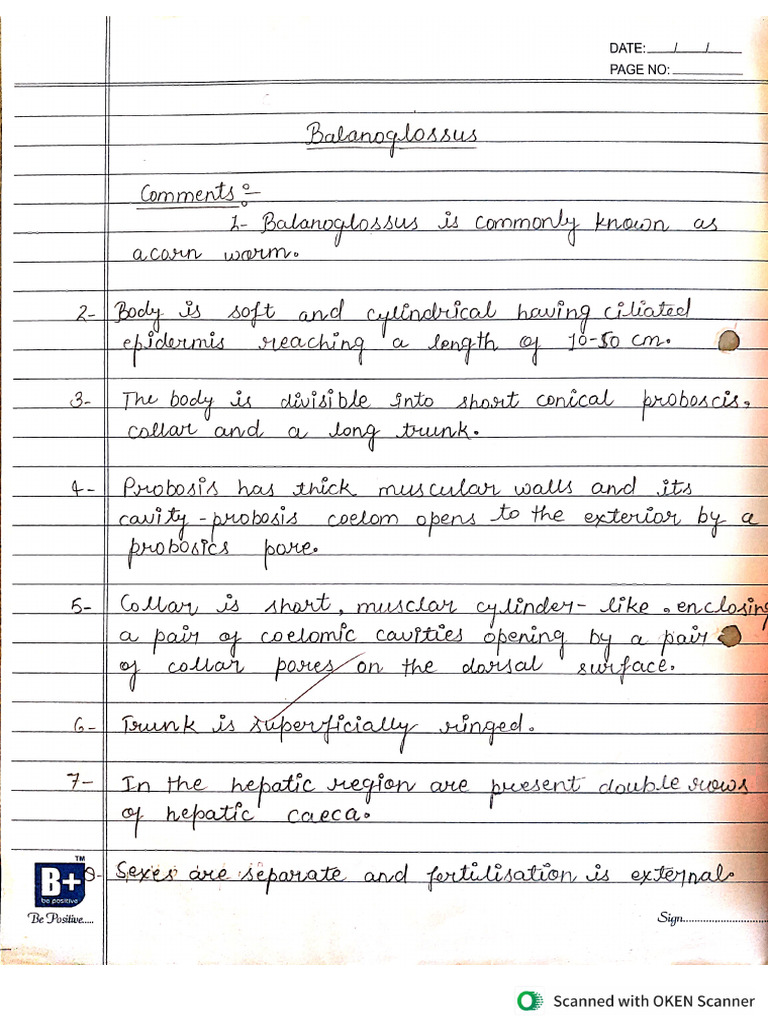Zoology Practical | PDF