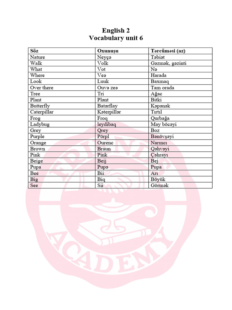 2ci Sinif Unit 6 | PDF