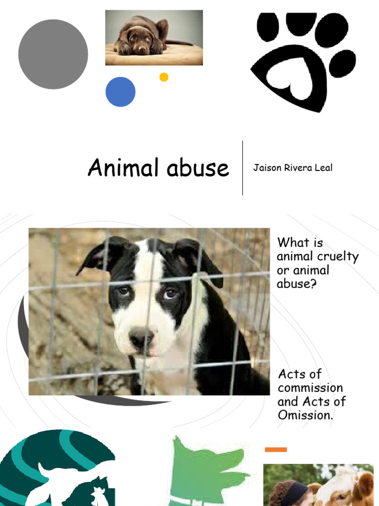 Animal Abuse | PDF