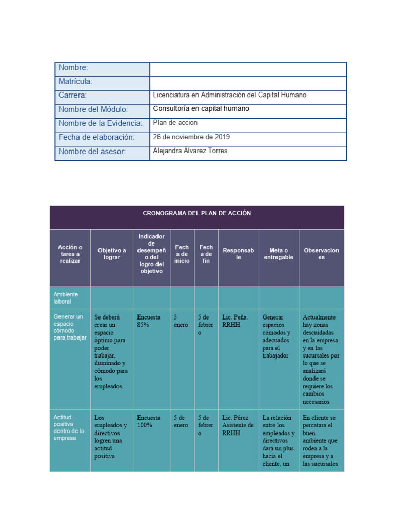 Plan Accion | PDF | Gestión de recursos humanos | Business