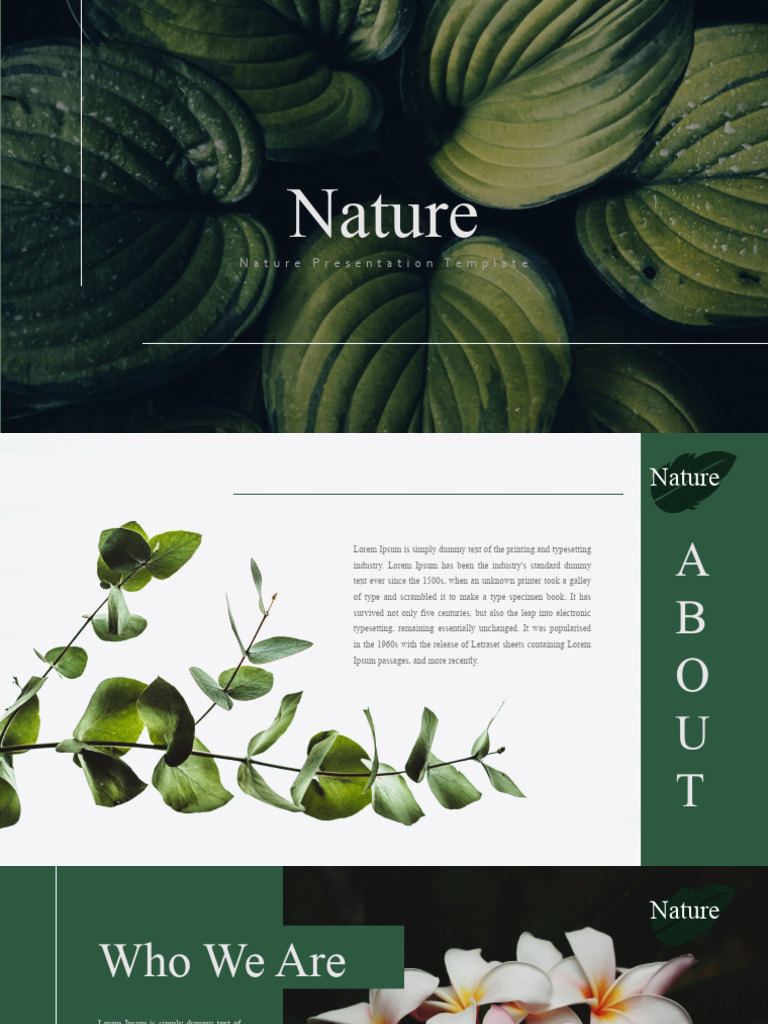 Nature Presentation Template 16X9 | Download Free PDF | Printing ...