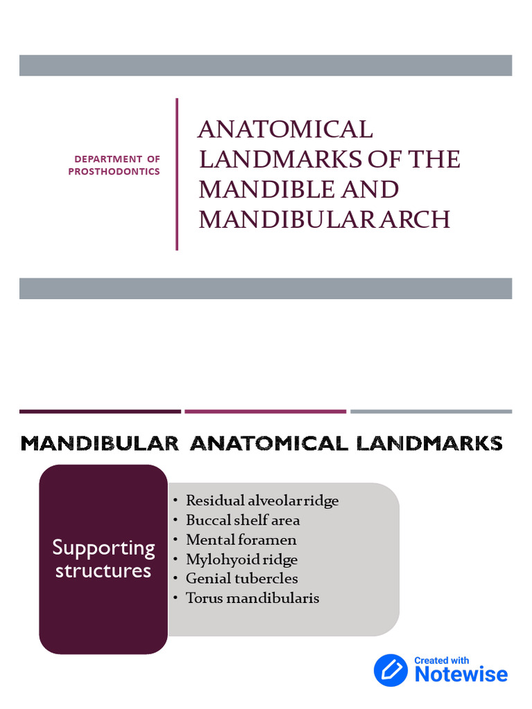 Lec 3 PDF | PDF | Dentures | Tongue