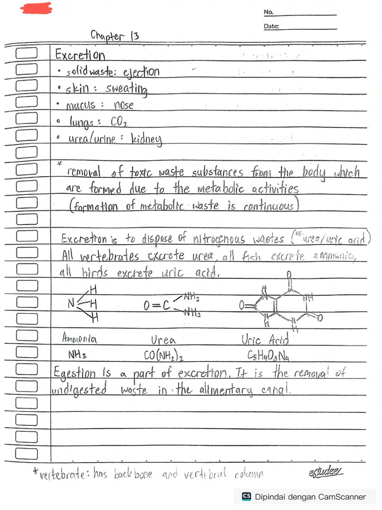 Bio IGCSE CHP 13-15 Notes (S4 Sem 1) | PDF