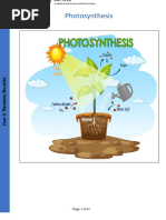 Grade 8 - Photosynthesis and Respiration (Notes) | PDF | Photosynthesis ...