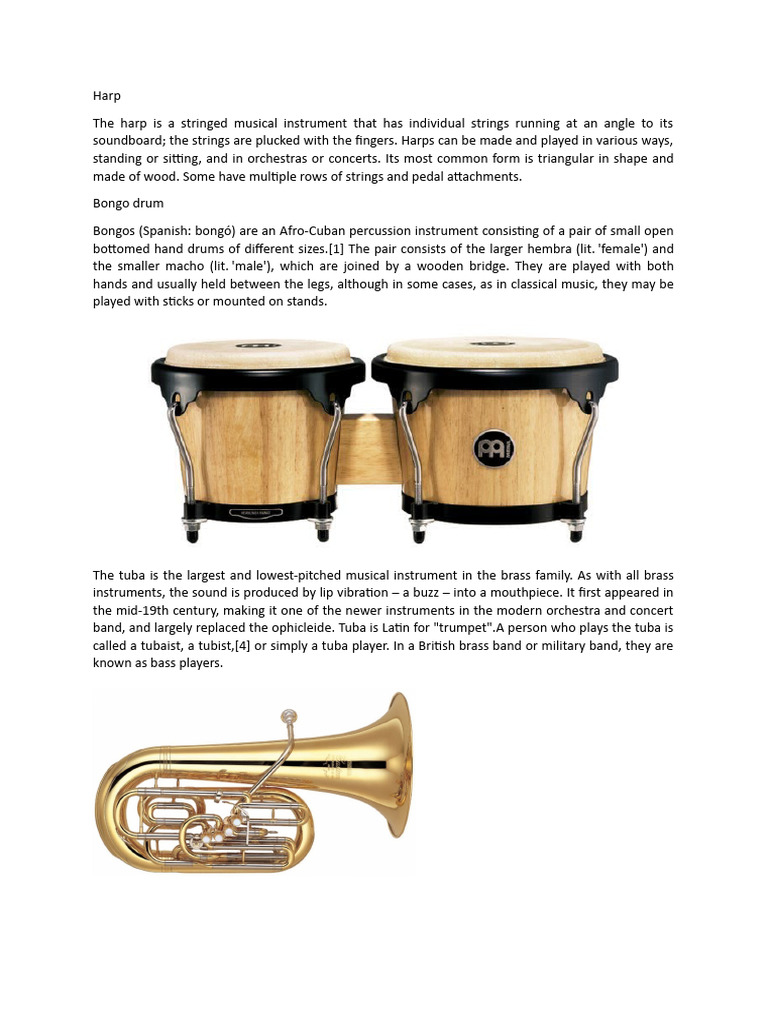 G5 Musical Instruments | PDF | Accordion | Harmonica