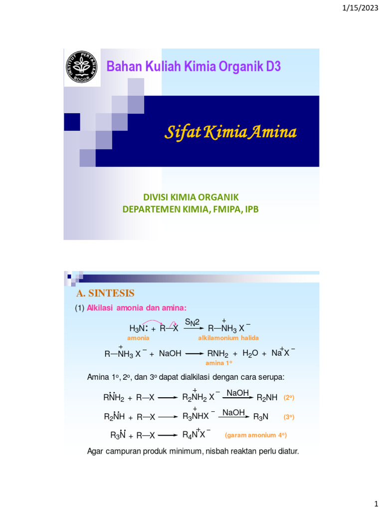 13 (14) Sifat Kimia Amina | PDF