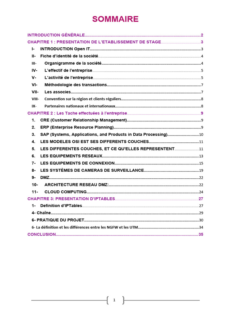 Rapport de Stage Lolo | PDF | Cloud computing | Câble coaxial