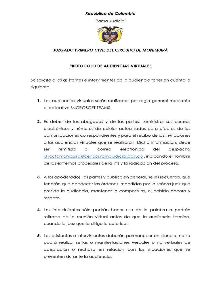 Protocolo Audiencias Virtuales Juzgado | PDF