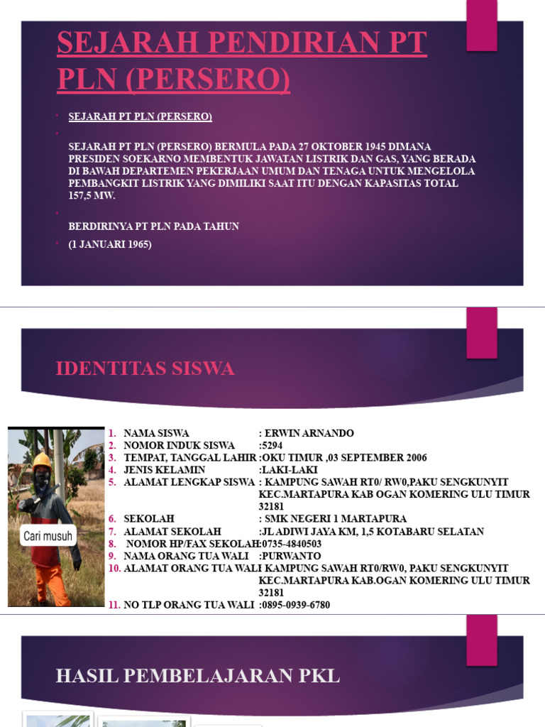 Sejarah Pln | PDF