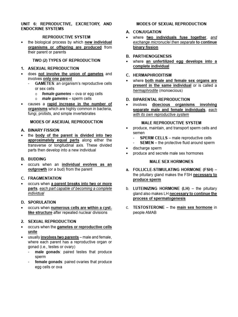 Genzoo | PDF | Kidney | Reproductive System