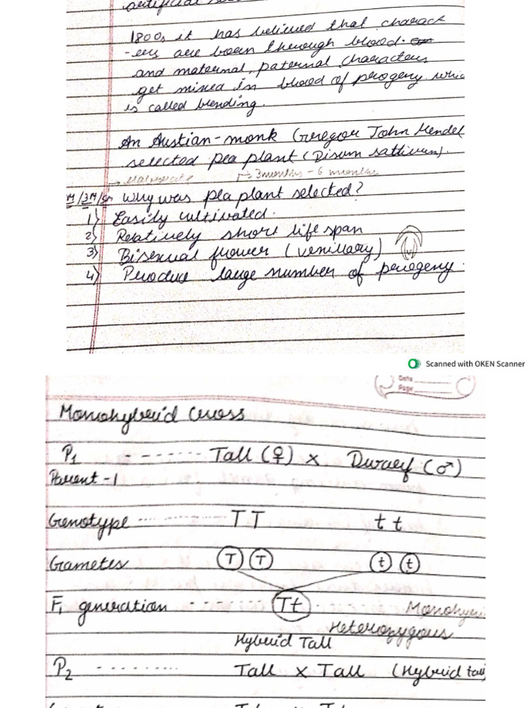 Principle of Variation | PDF