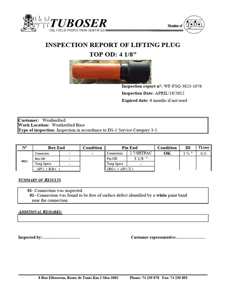 0011 Lifting Plug | PDF | Business | Computers