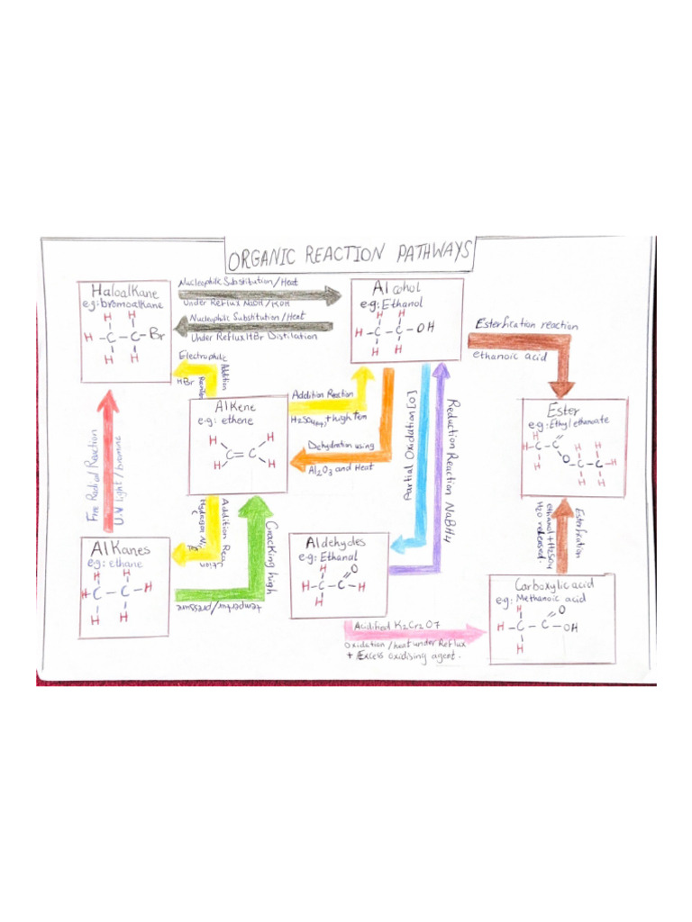 Organic Reaction Pathways | PDF
