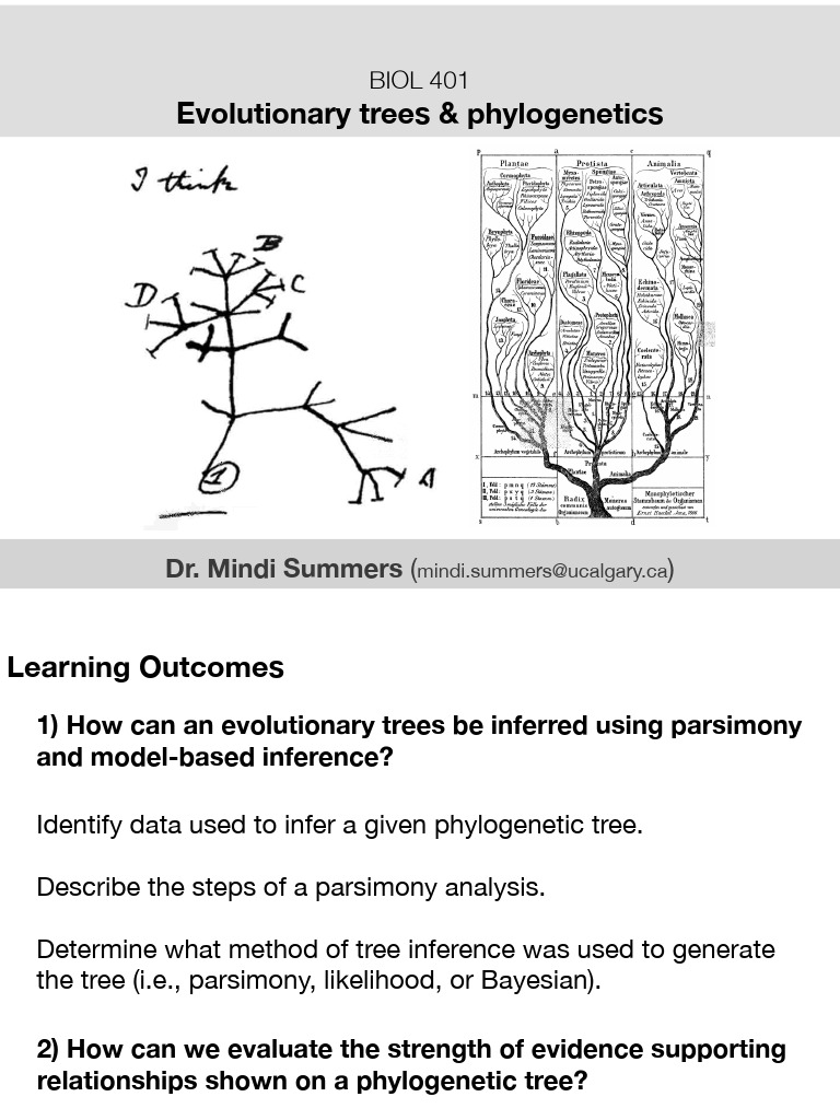 BIOL 401 - W22 - Lecture - Phylogenetic Inference | PDF | Molecular Phylogenetics | Phylogenetic ...