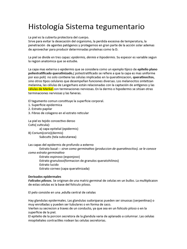 Histología Sistema Tegumentario | Descargar gratis PDF | Sistema tegumentario | Piel