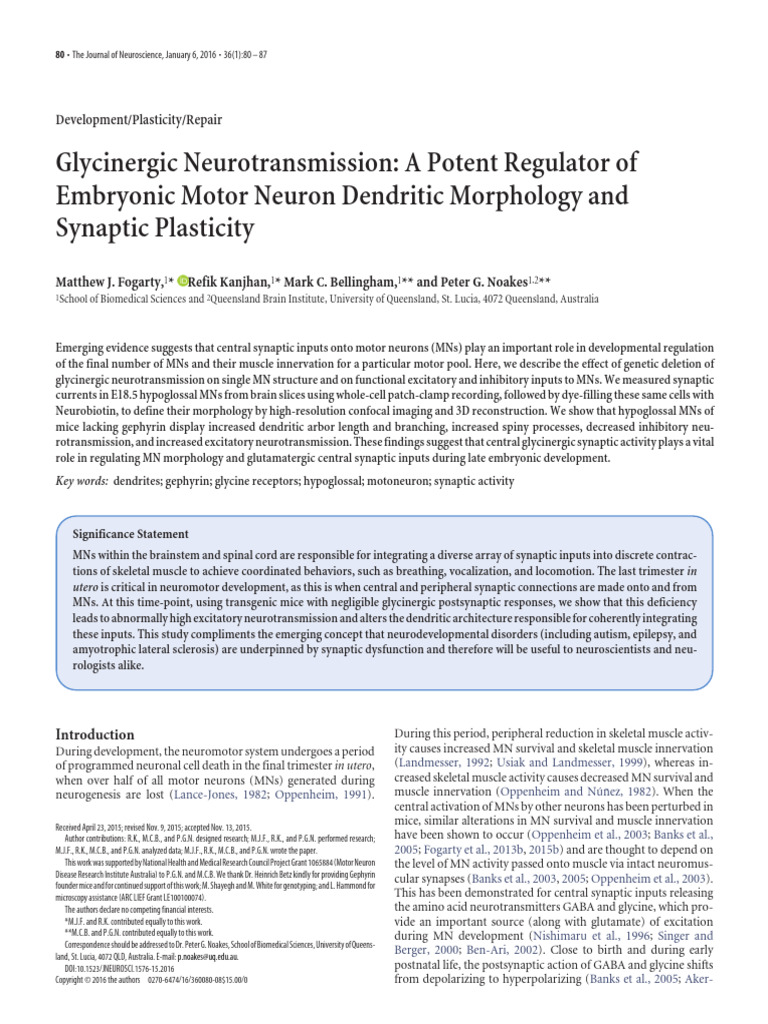 80 Full | Download Free PDF | Chemical Synapse | Synapse