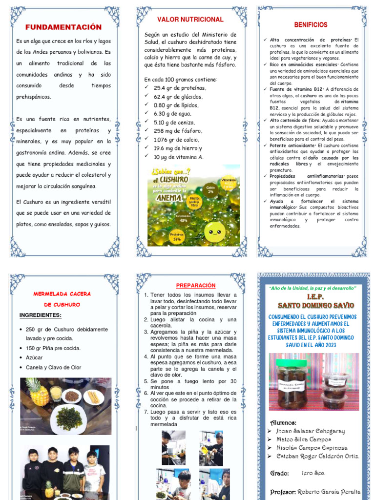 Triptico Mermelada de Cushuro | PDF | Veganismo | Nutrición