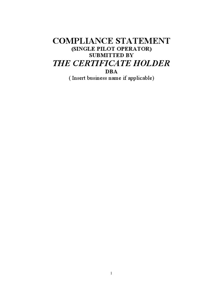 Part 135 Single Pilot Compliance Statement | PDF | Visual Flight Rules ...