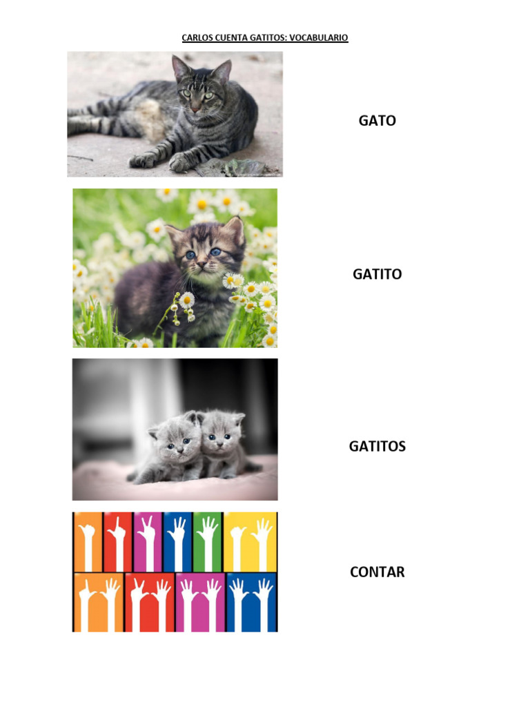 Vocabulario de Gatos y Gatitos | PDF