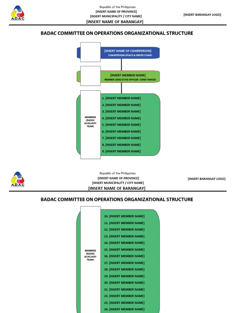 BADAC TEMPLATE - Committee On Operations Organizational Structure | PDF