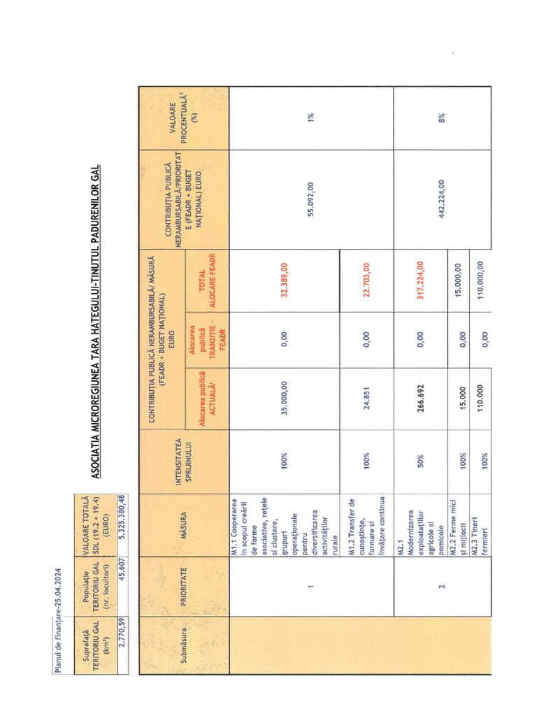 Planul de Finantare | PDF