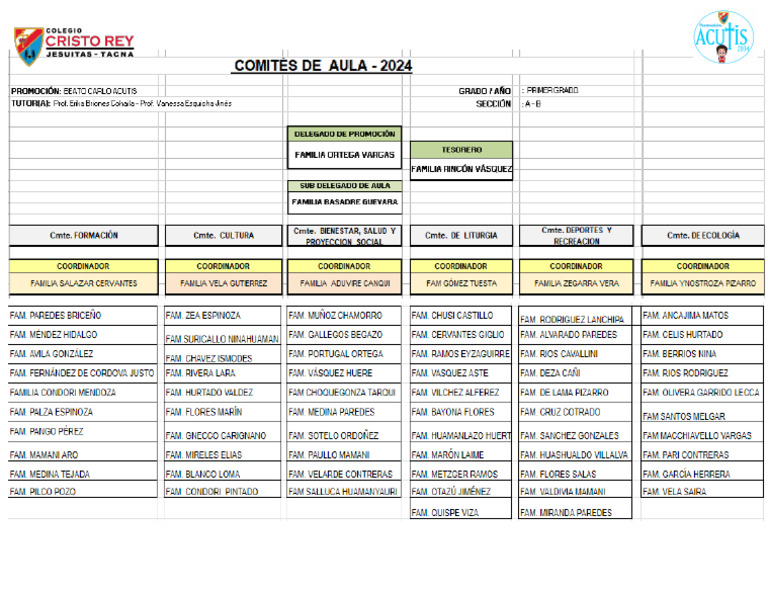 Comit - 2024 - Acutis | PDF