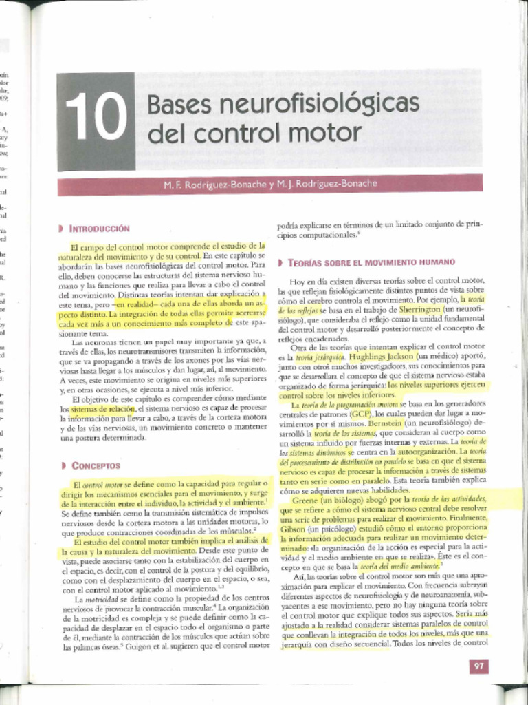 Bases Neurofisiologicas Del Control Motor | PDF