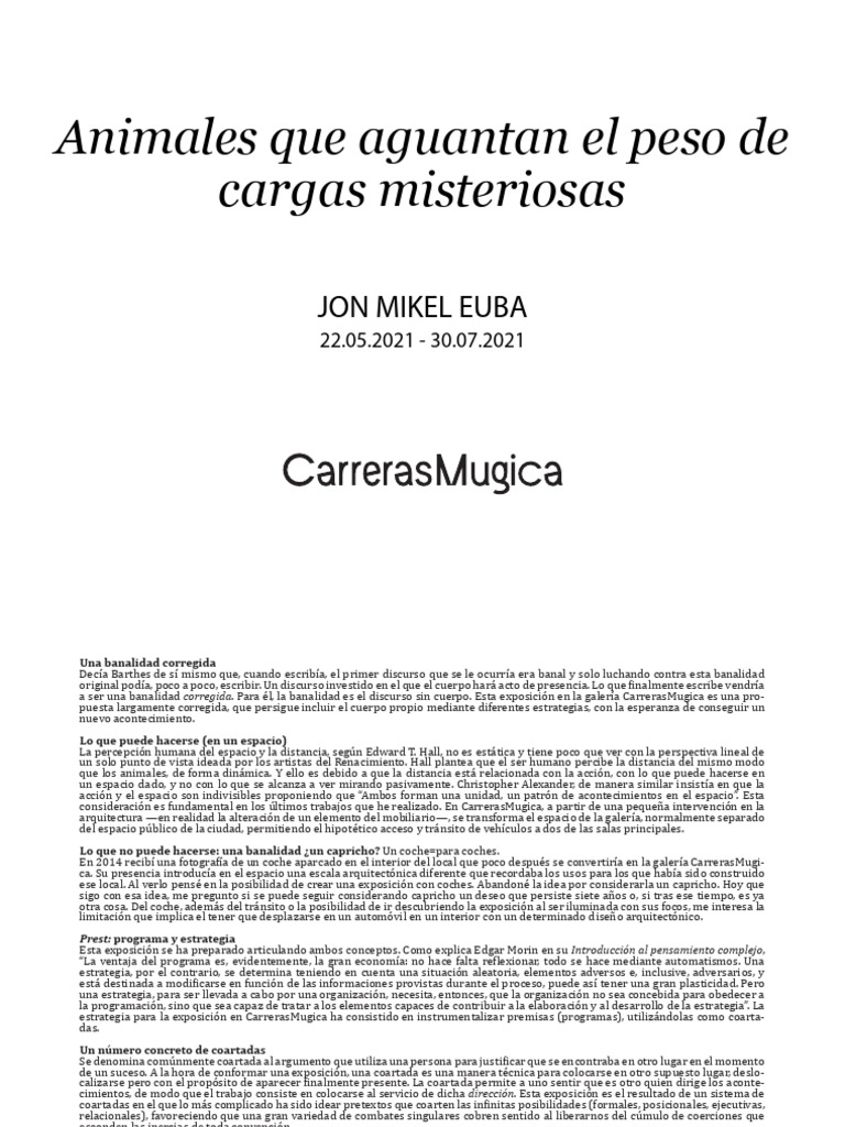 Estrategias en la Exposición de Euba | PDF | Digestión | Escultura