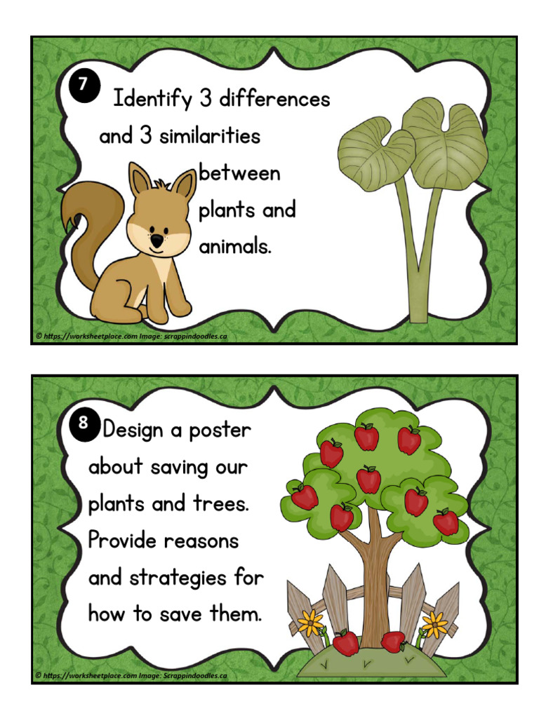 Plants vs. Animals: Differences & Conservation | PDF
