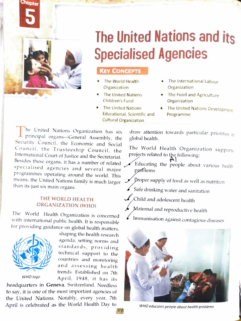 The United Nations Civics | PDF | United Nations | International Relations